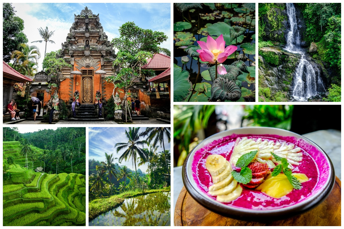 Explore The Life of the Locals at Ubud Balinese Village - Backpackeroo
